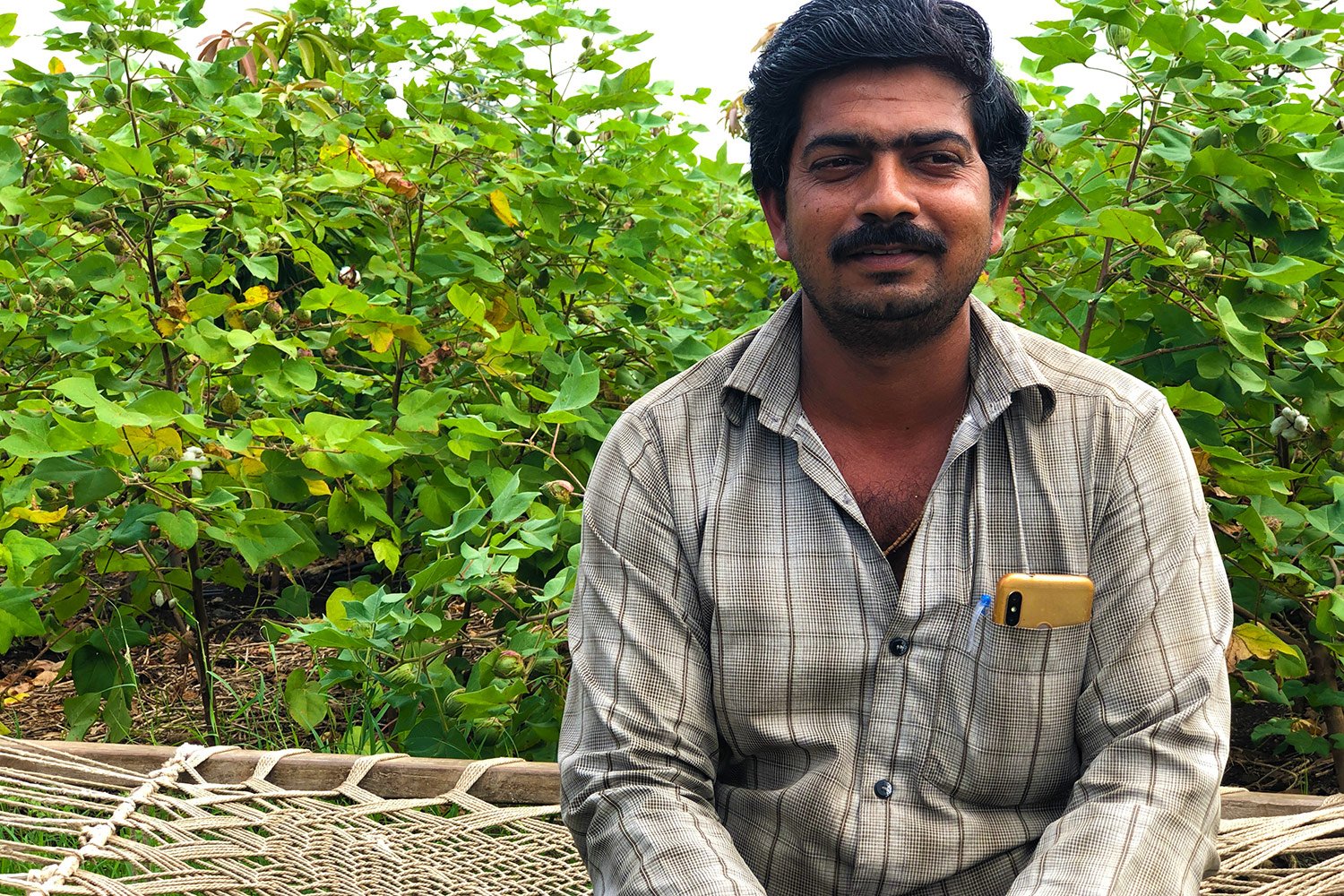 Cotton Standards: What's the Difference and Does it Matter?